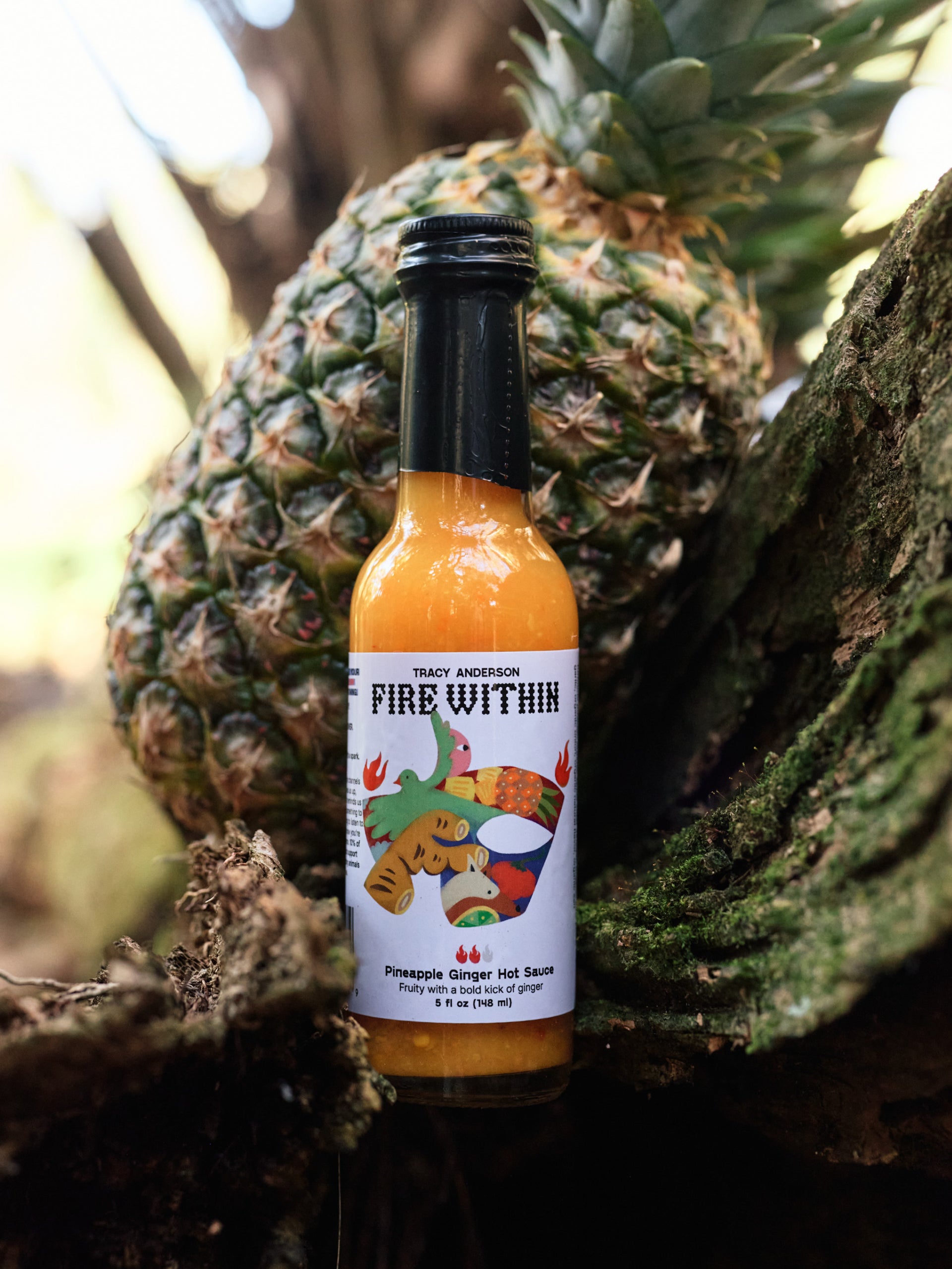 Fire Within Hot Sauce (Pineapple-Ginger) – Tracy Anderson